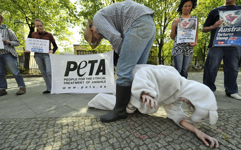 PETA protest live fish necklaces at IIJS