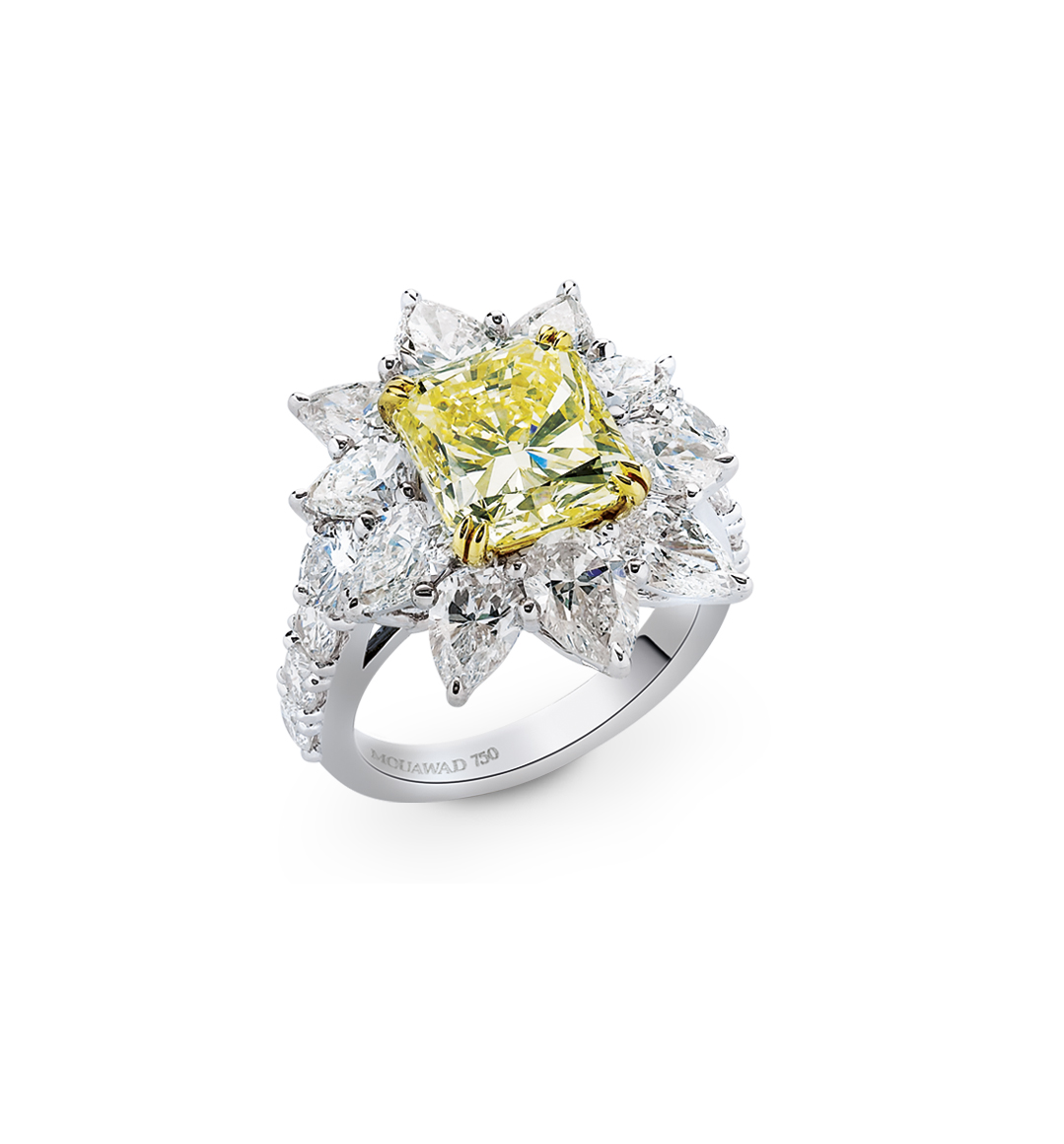 IN PICS: Mouawad Fine Jewellery collections