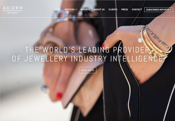 Adorn Insight celebrates five years in business with dynamic rebrand