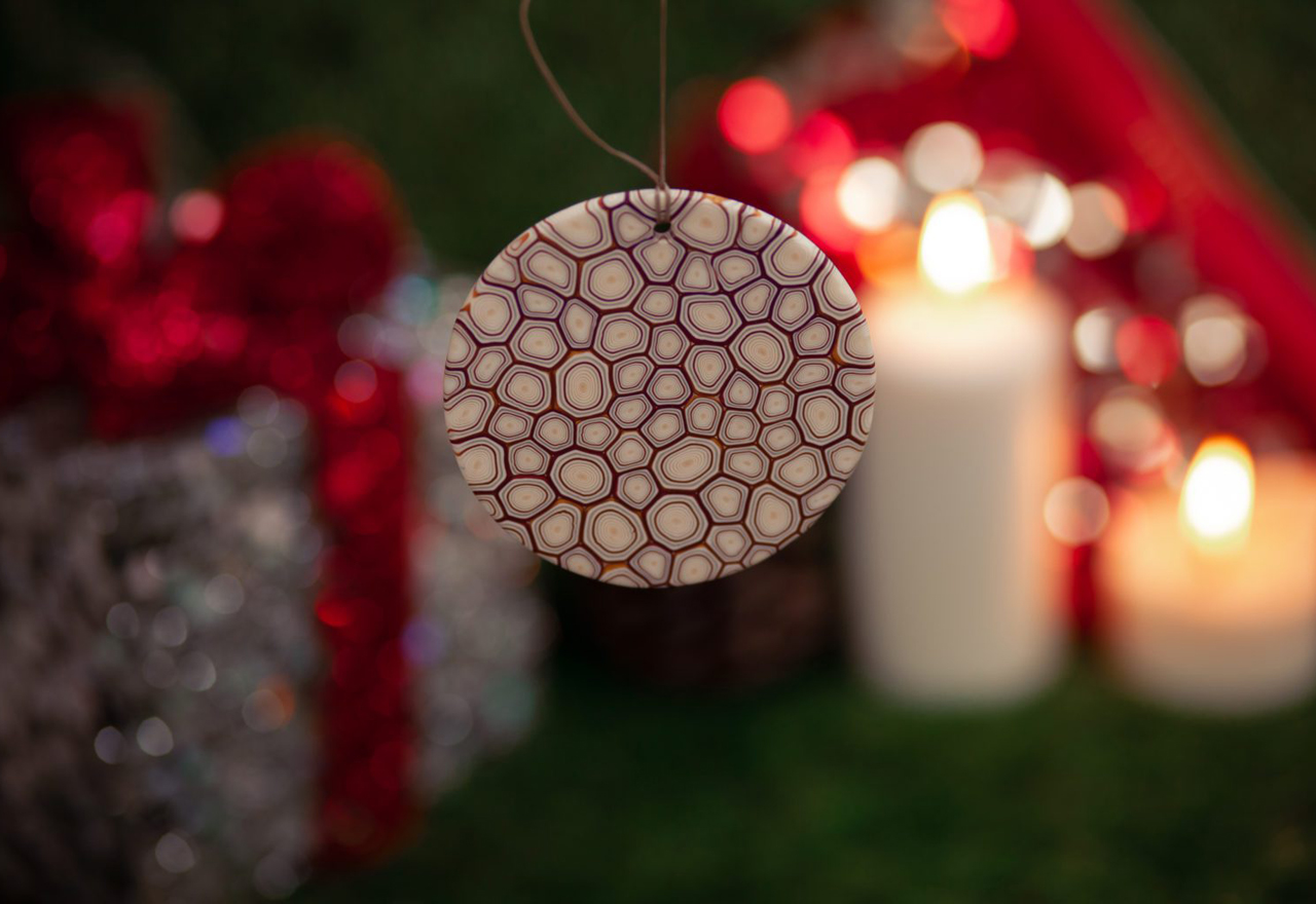 BAJ opens doors to public this Christmas in Birmingham and London