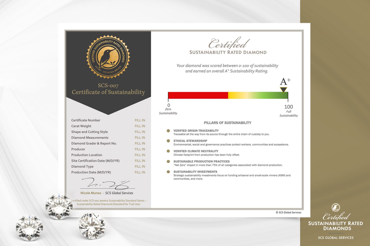 SCS-007: The Jewelry Sustainability Standard