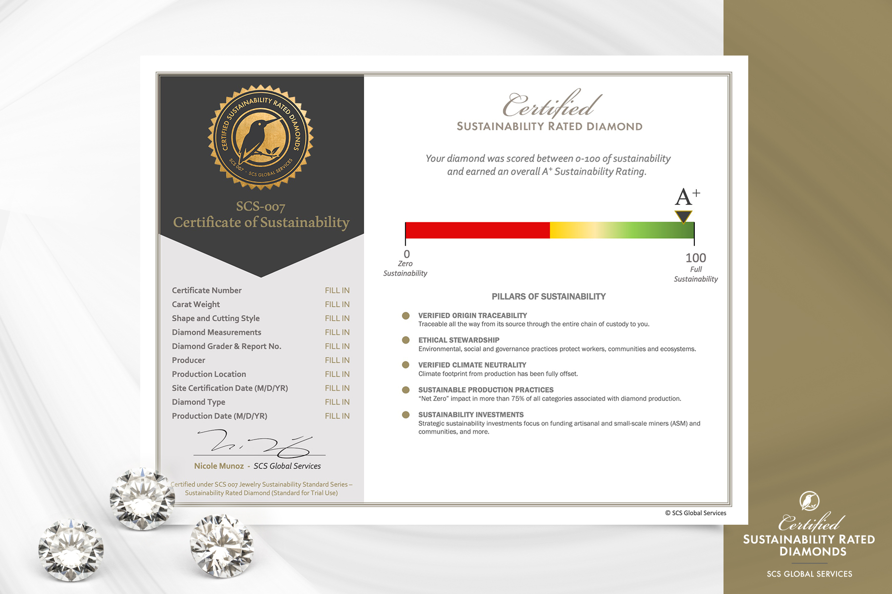 SCS-007: The Jewelry Sustainability Standard