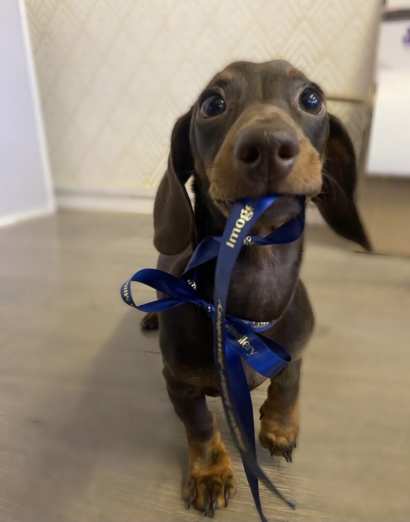 GET TO KNOW: Weston Beamor Group business development representative ...