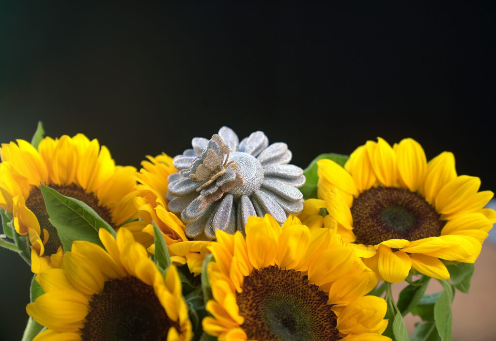 Hari Krishna Exports sets Guinness World Record