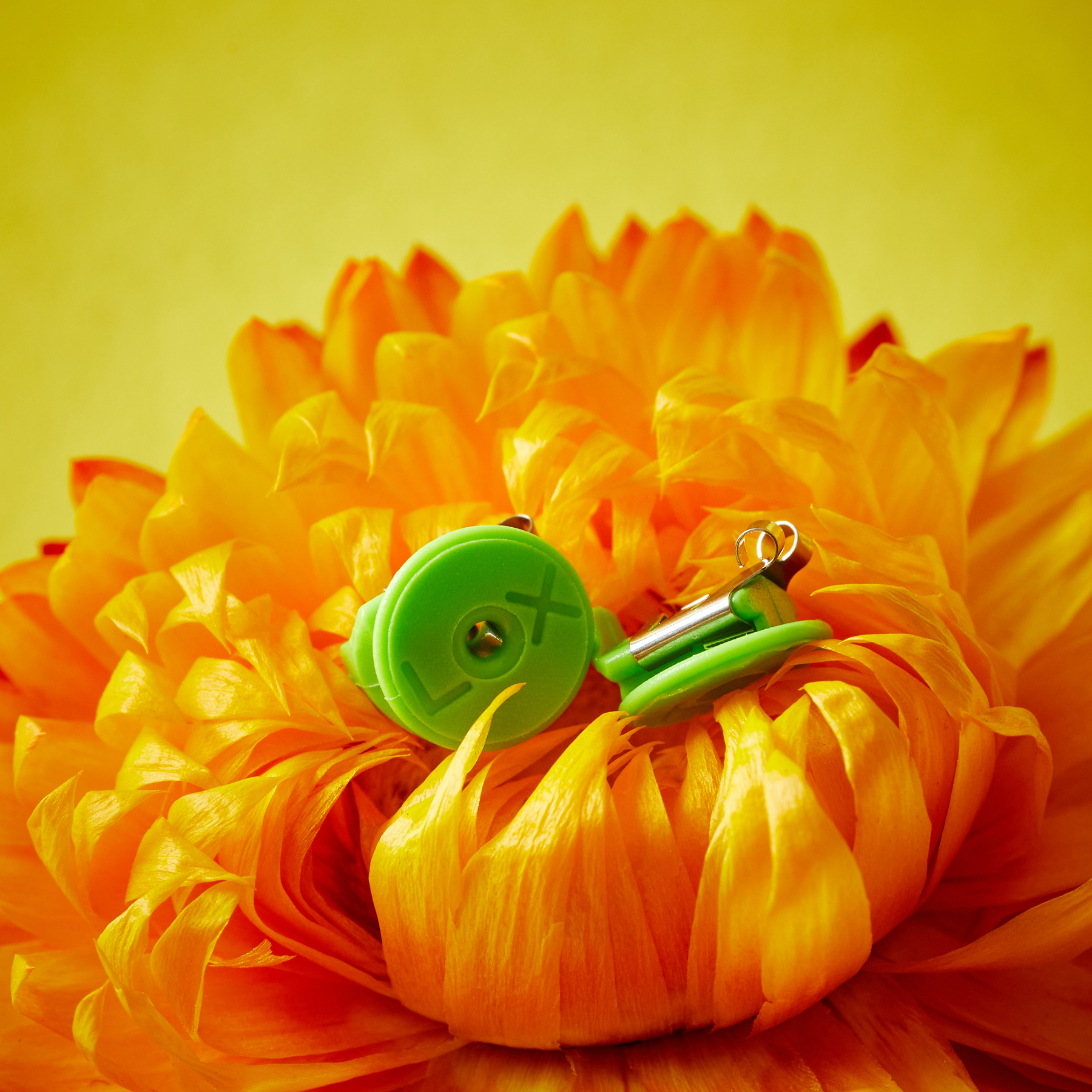 Style meets security as Lox launches Colour collection