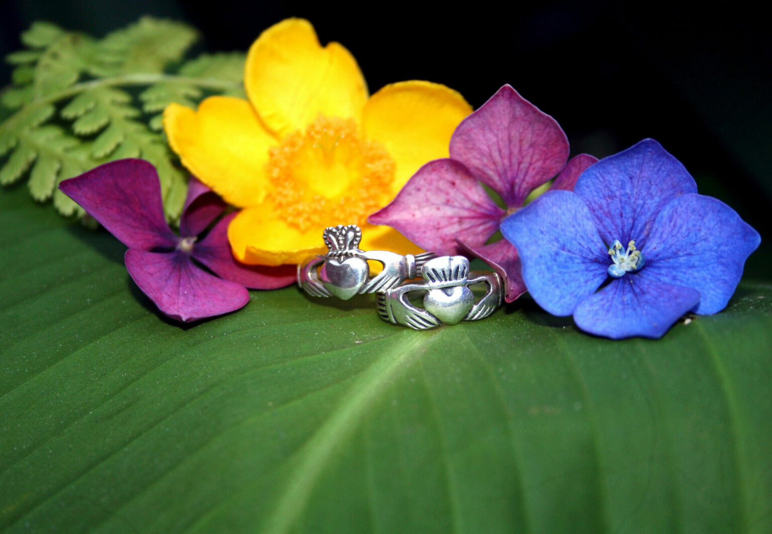Sleek and modern Claddagh rings pay homage to a classic tradition