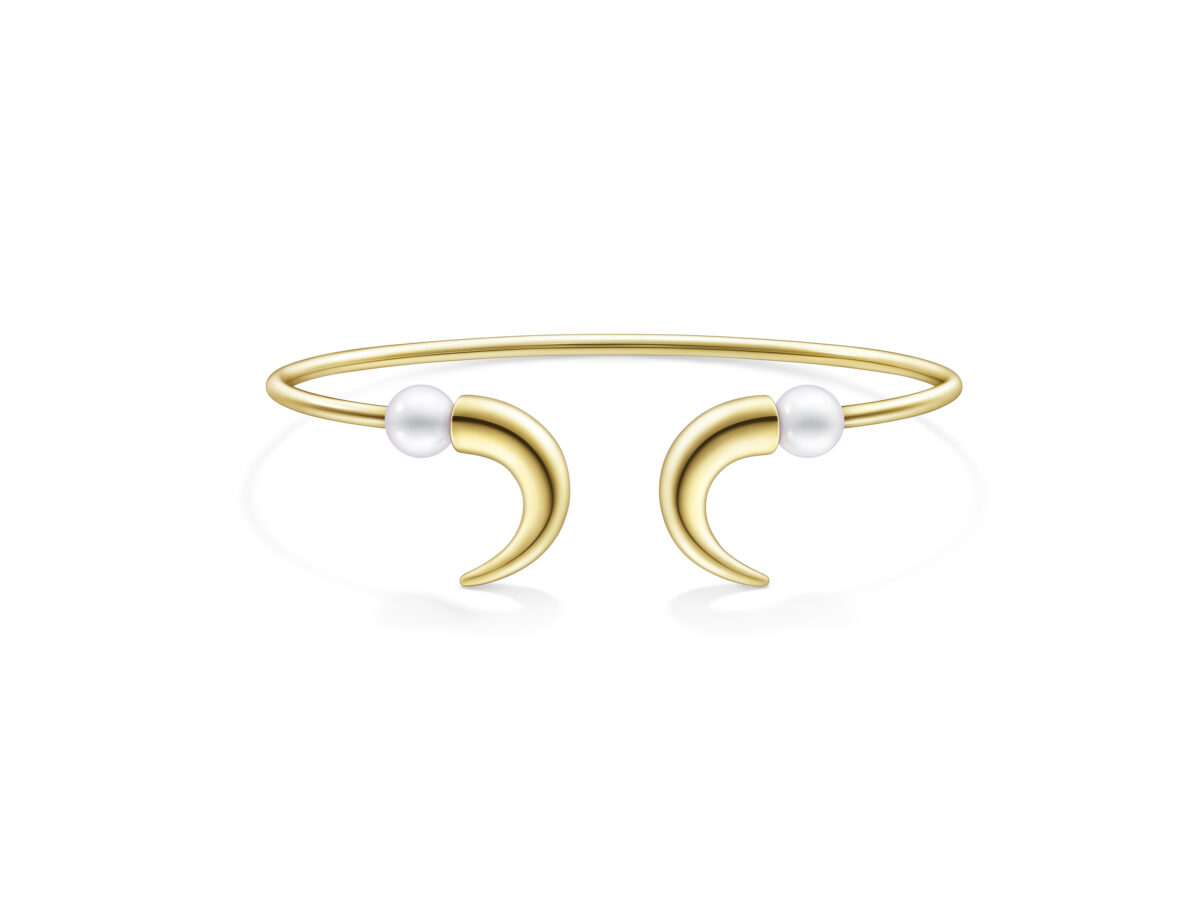 Tasaki expands Danger collection