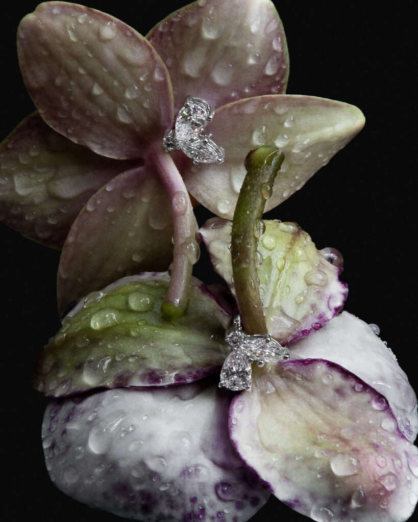 Sacet introduces new collection as searches for toi et moi rings soar