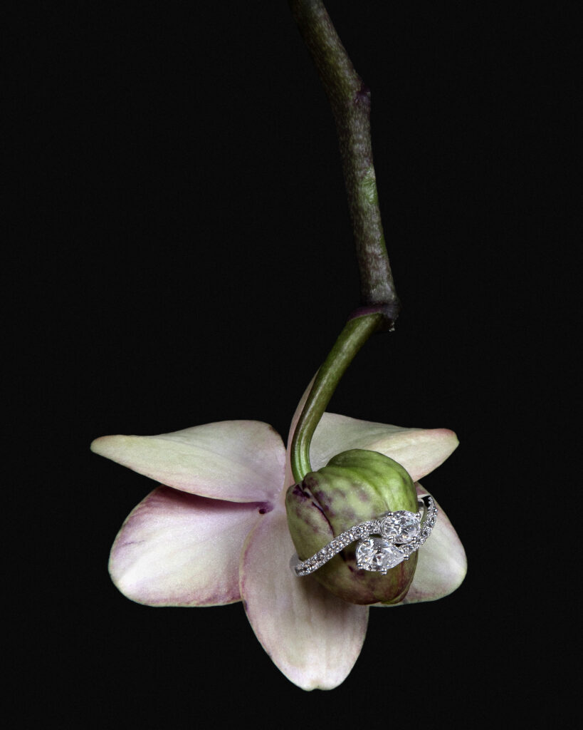 Sacet introduces new collection as searches for toi et moi rings soar