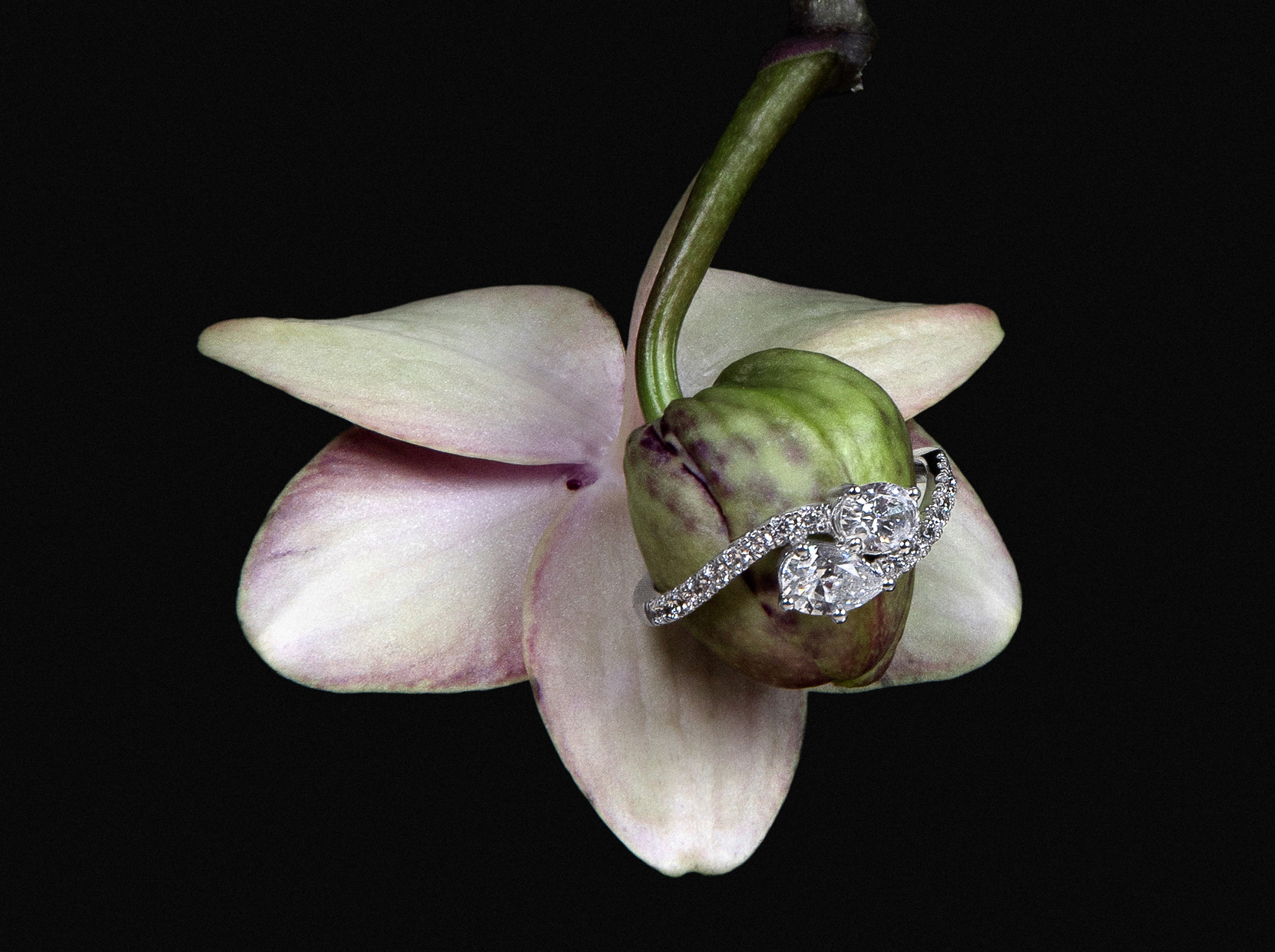 Ethical jewellery brand launches in UK stores for the first time