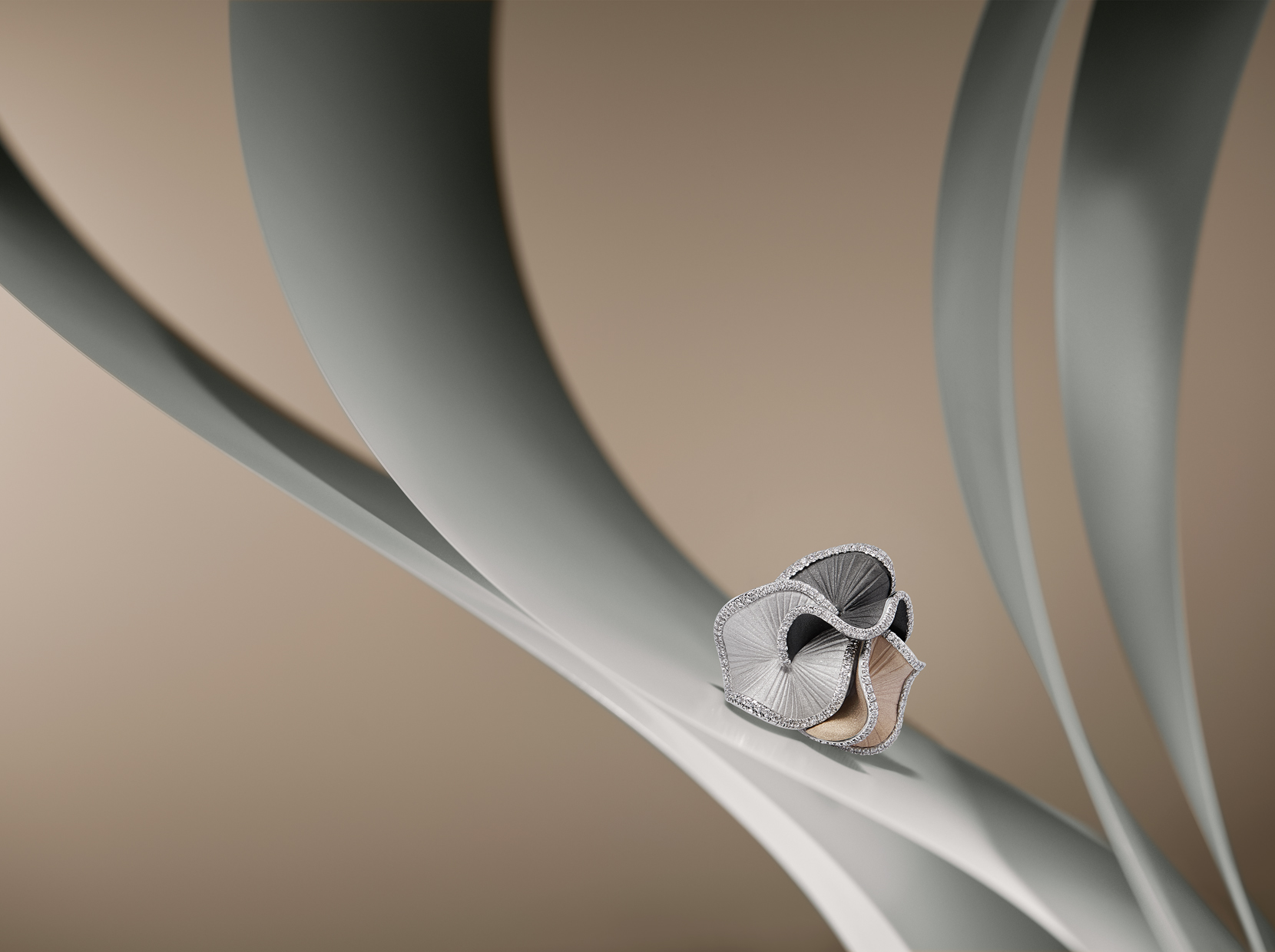 ANNAMARIA CAMMILLI: 40 years of history