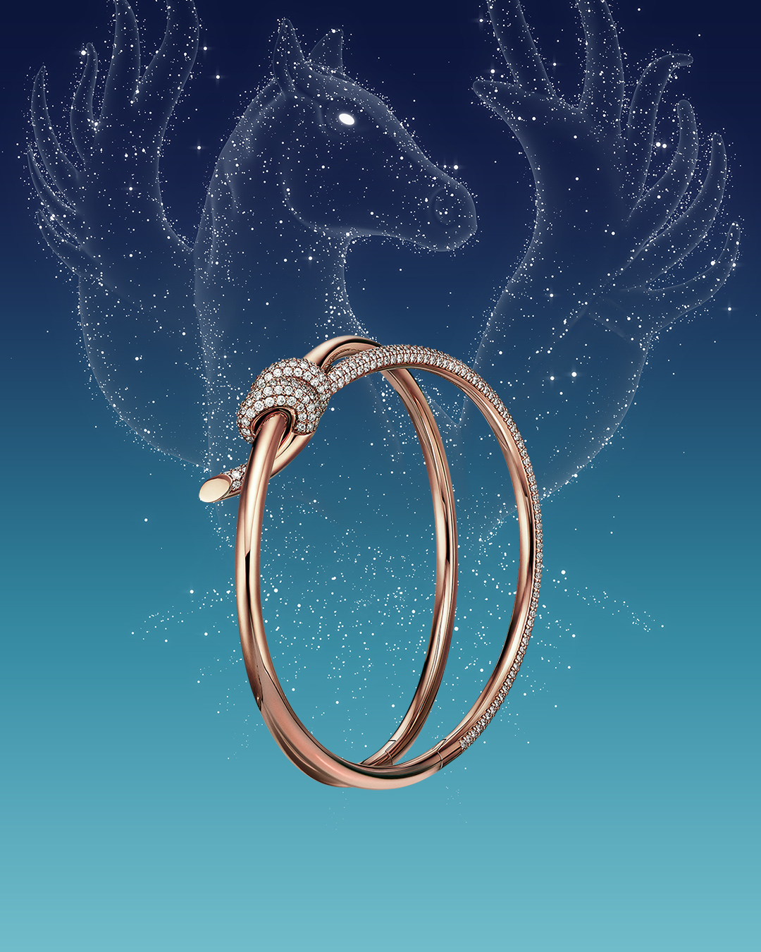 Tiffany rides into 2026 Chinese New Year with campaign